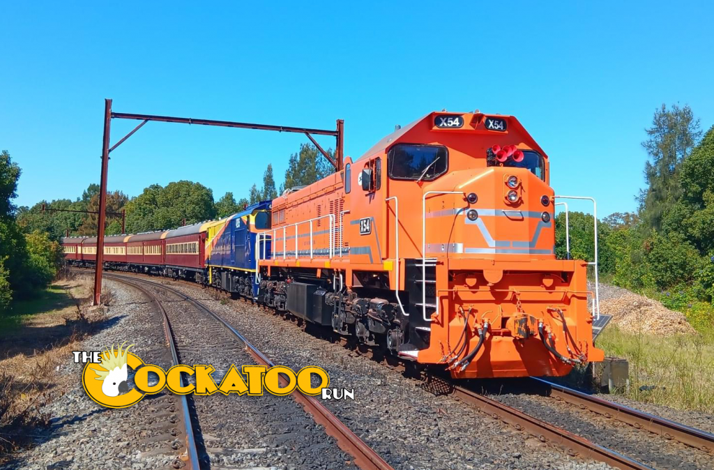 Christmas in July Cockatoo Run - Destination Southern Highlands