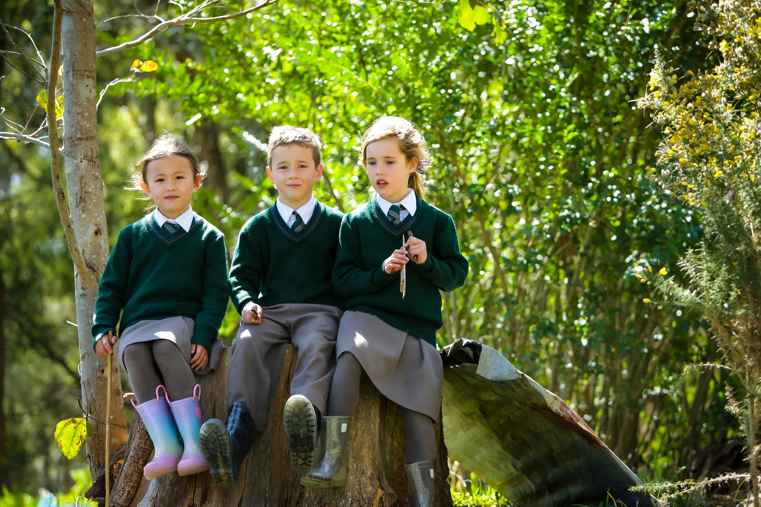 Gib Gate Open Day - Destination Southern Highlands