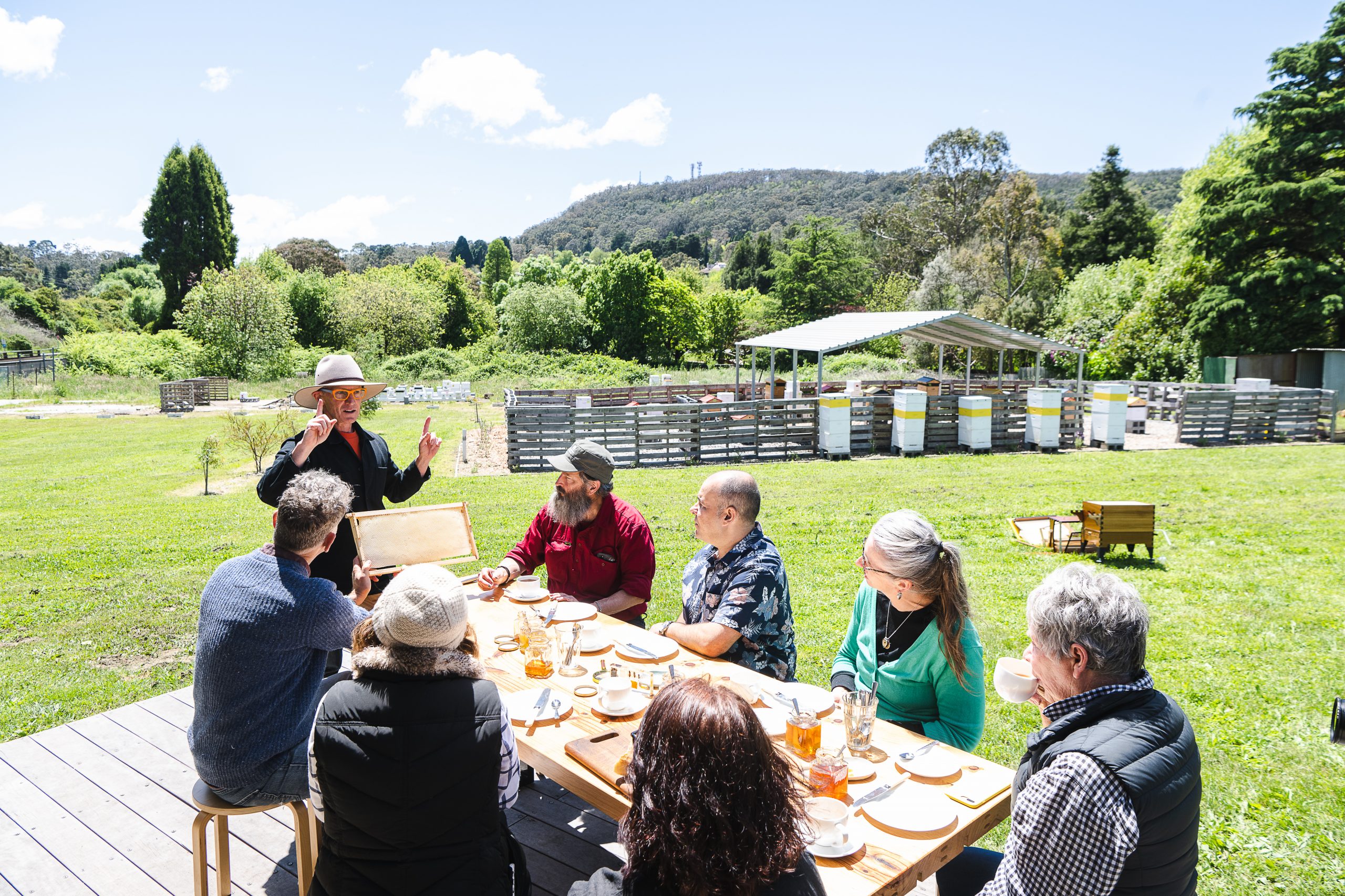 Honey Tasting & Apiary Tour - Destination Southern Highlands